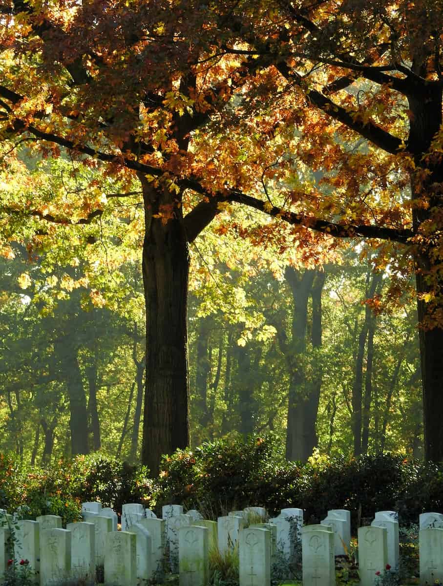 Choosing A Cemetery? Here Is What You Need To Know